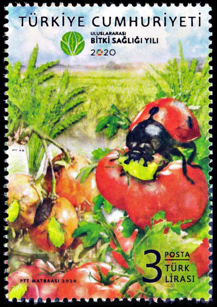 Inicio - Filatelia Kevorkian